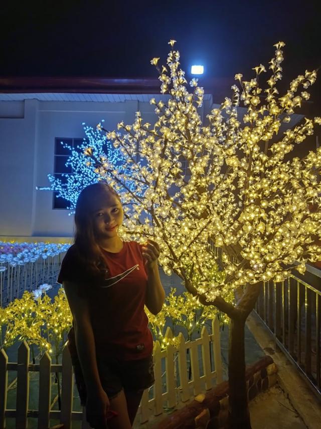 Syvel(サイヴェル) レッスン数:5395回 - 講師詳細 | オンライン英会話のネイティブキャンプ